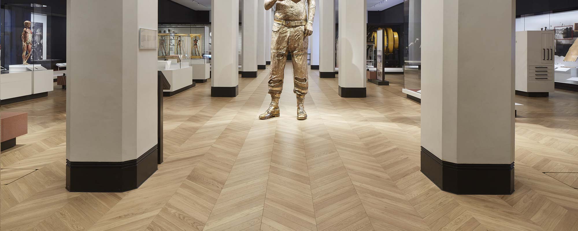 Science Museum - Loughton Contracts
